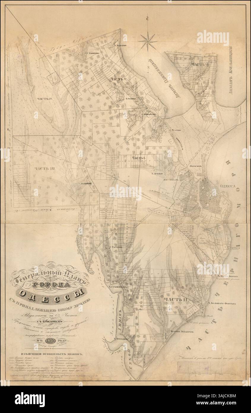An 1835 map of Odessa, drawn by Dmitriya Klenova, showcasing the city’s ...