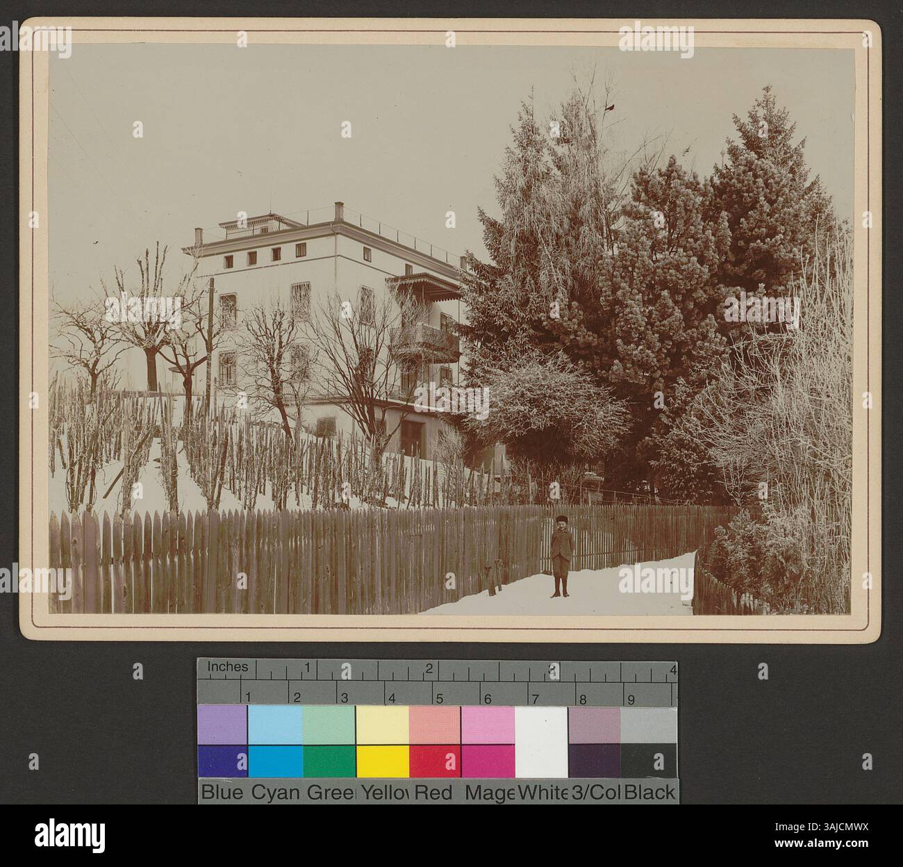 Photograph of Guetli with Fritz Bleuler, taken by Robert Breitinger in ...