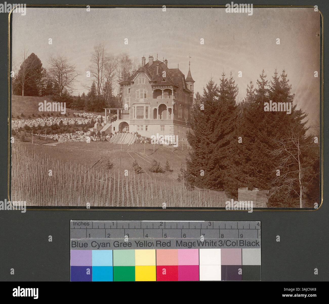 A 1888 photograph by Robert Breitinger of Villa Rieter, showcasing its ...