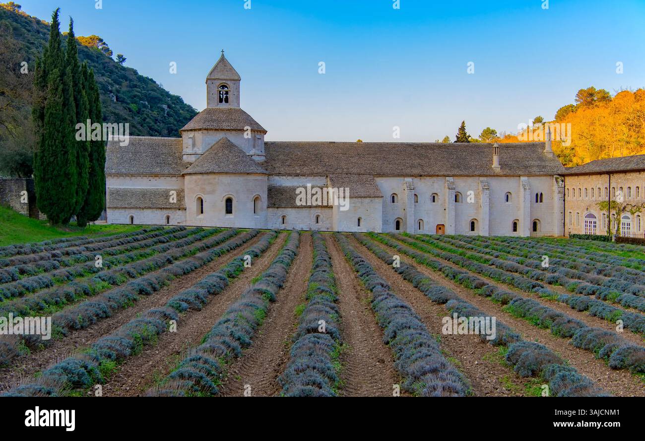Abbaye Notre-Dame de Senanque in Gordes, France Stock Photo - Alamy