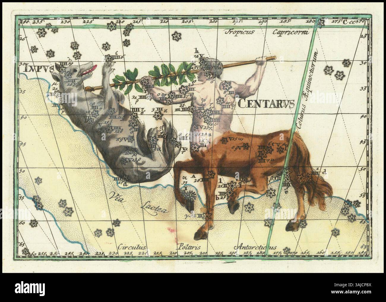 Engraving titled 'Lupus and Centarus' by Corbinian Thomas, created in ...