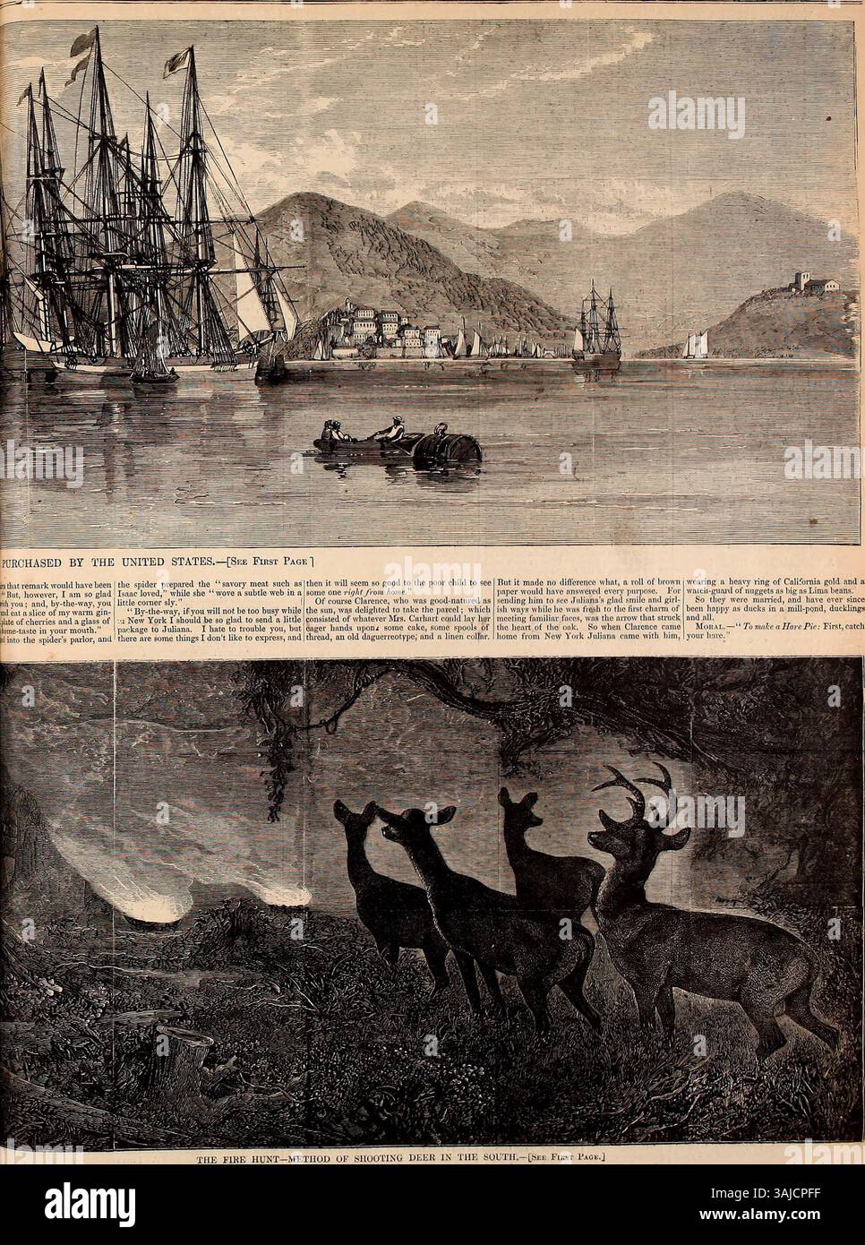 This Harper's Weekly print from December 14, 1867, features a variety ...