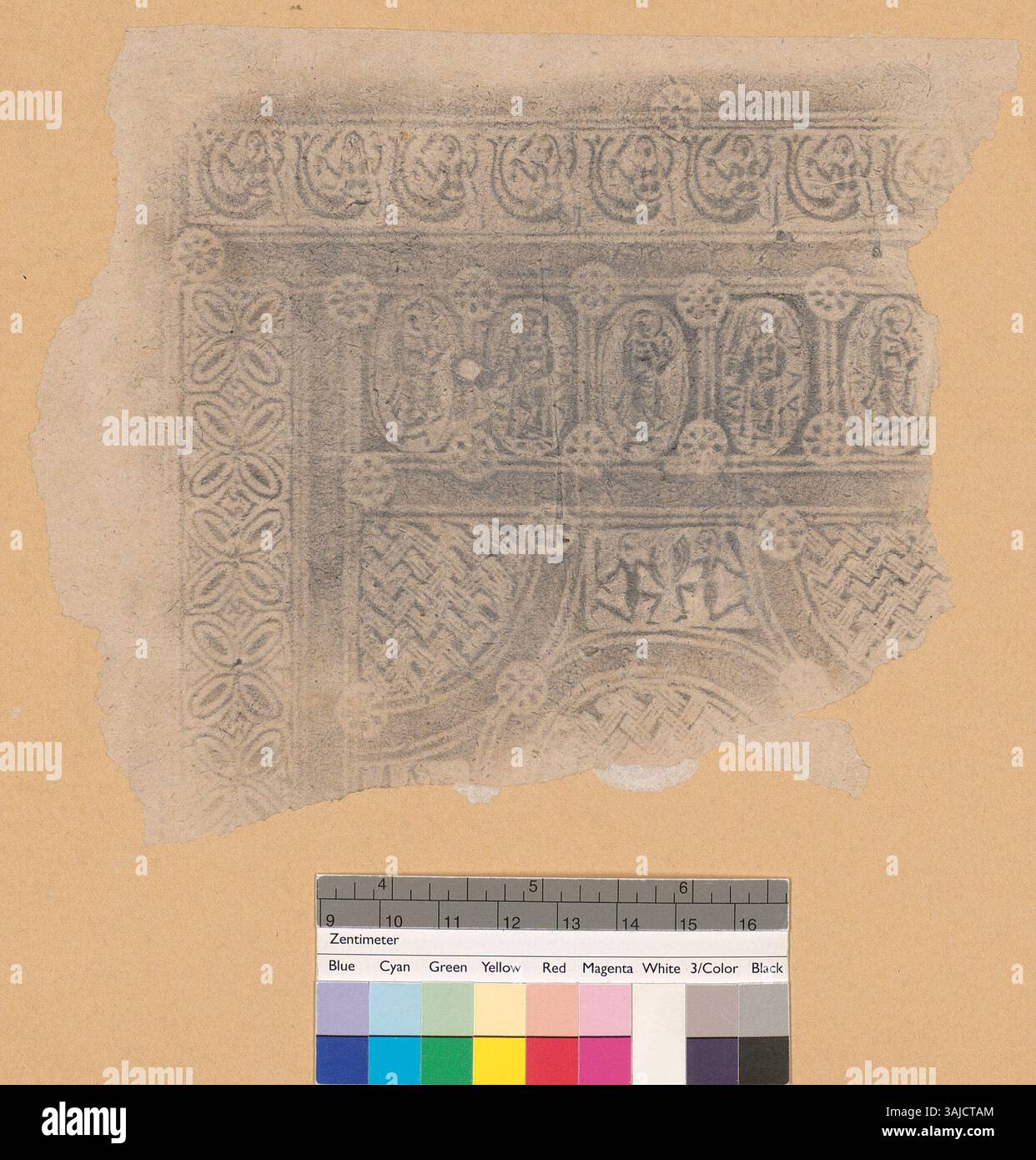 The image shows the pressed leather binding of Codex 79, held in the St ...