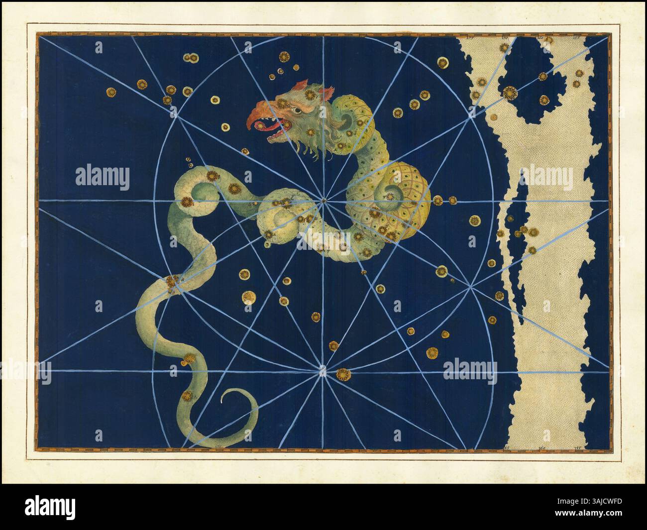 Johann Bayer's 1624 celestial chart of Draco, a constellation, depicts ...