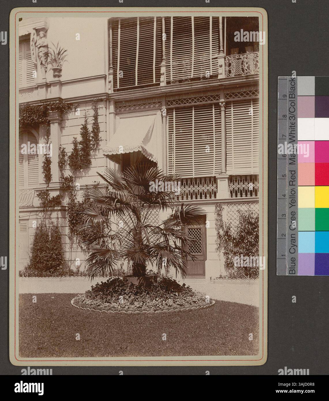 A palm tree is seen beside the Zollinger House at Claridenstrasse 21 ...