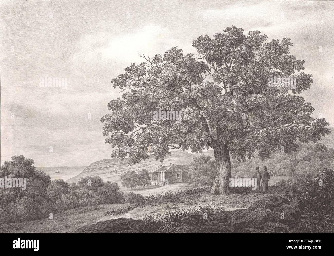 Frederic dubois de m hi-res stock photography and images - Alamy