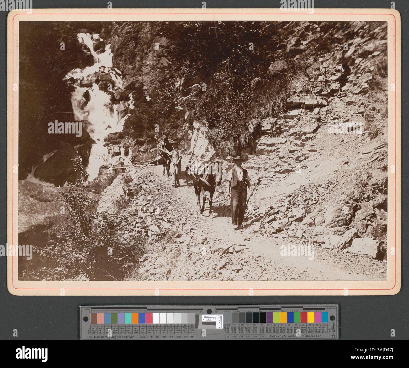 This 1891 photograph shows two men with mules on a mountain path near ...