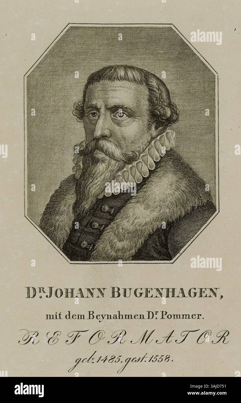 The portrait of Dr. Johann Bugenhagen, also known as Dr. Pommer ...
