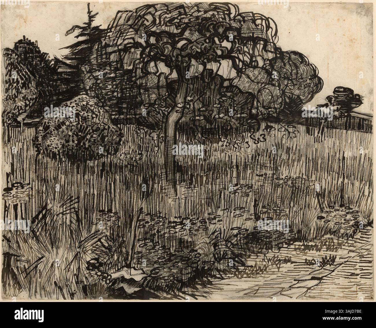 Vincent van Gogh's 1888 drawing, 'Weeping Tree,' is executed in reed ...