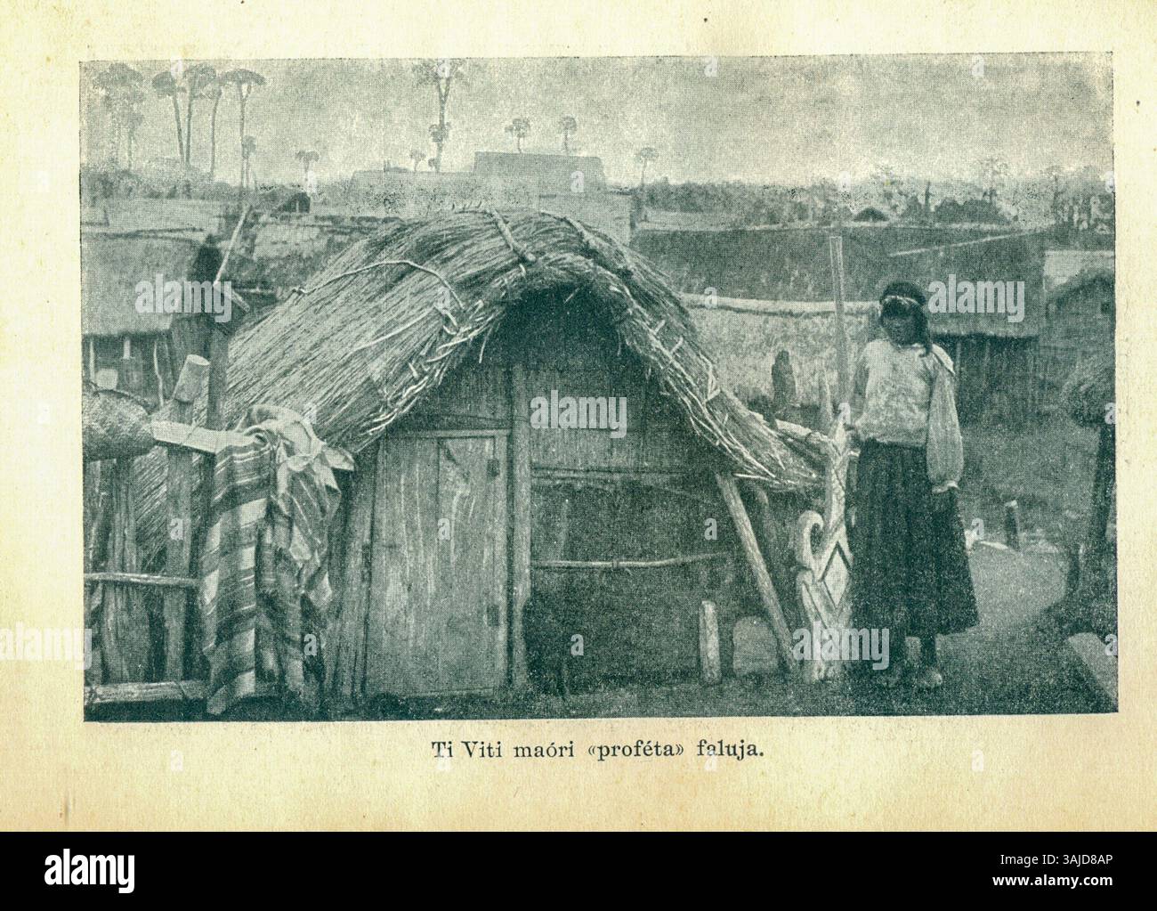 This 1880s photograph by Andreas Reischek presents an image of New ...