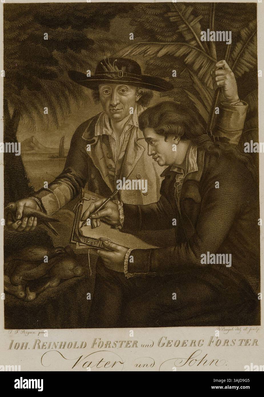 Copper engraving portrait of Johann Reinhold Forster and Georg Forster ...