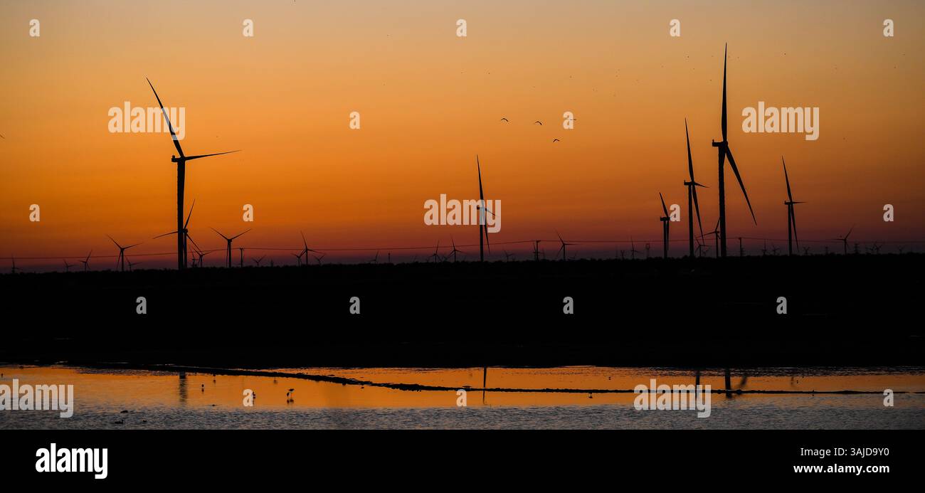 Yancheng. 31st Aug, 2023. This photo taken on Aug. 31, 2023 shows the ...