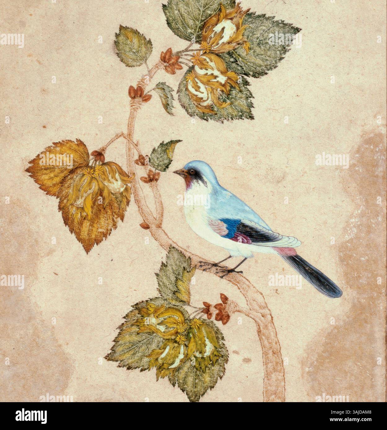 A detailed view of Shafi' Abbasi's 1651 miniature, A Bird on a Hazel ...