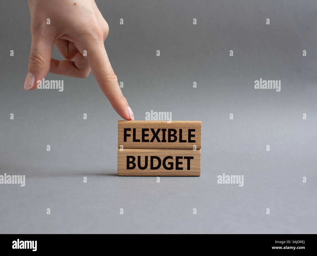 Flexible budget symbol. Concept words Flexible budget on wooden blocks ...