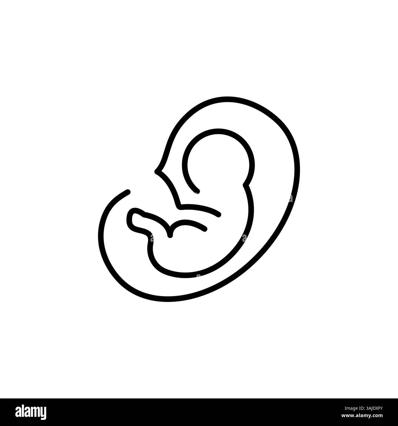 Fetus at term hi-res stock photography and images - Alamy