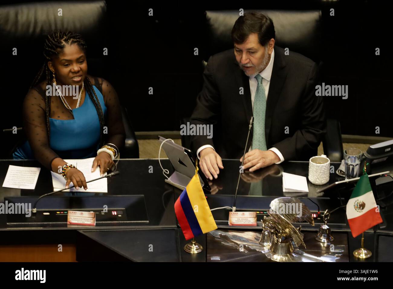 Vice President of Colombia, Francia Marquez Mina, accompanied by the ...