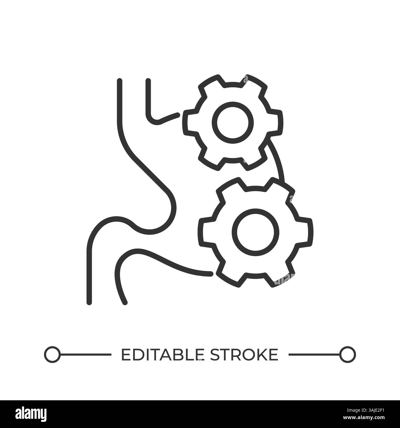 Digestive system function digestion Black and White Stock Photos ...