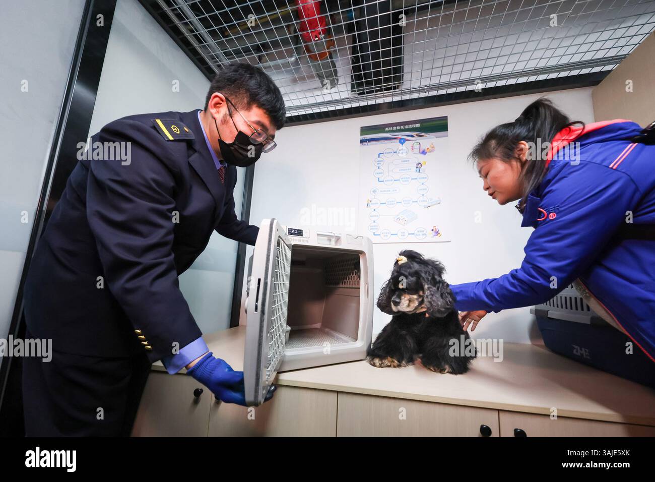 Beijing,China.10th April 2025. A dog owner prepares to place her dog ...