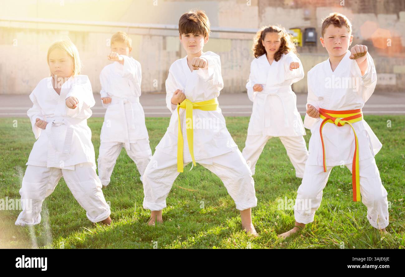 Group of preteen children practicing karate in summer park Stock Photo ...
