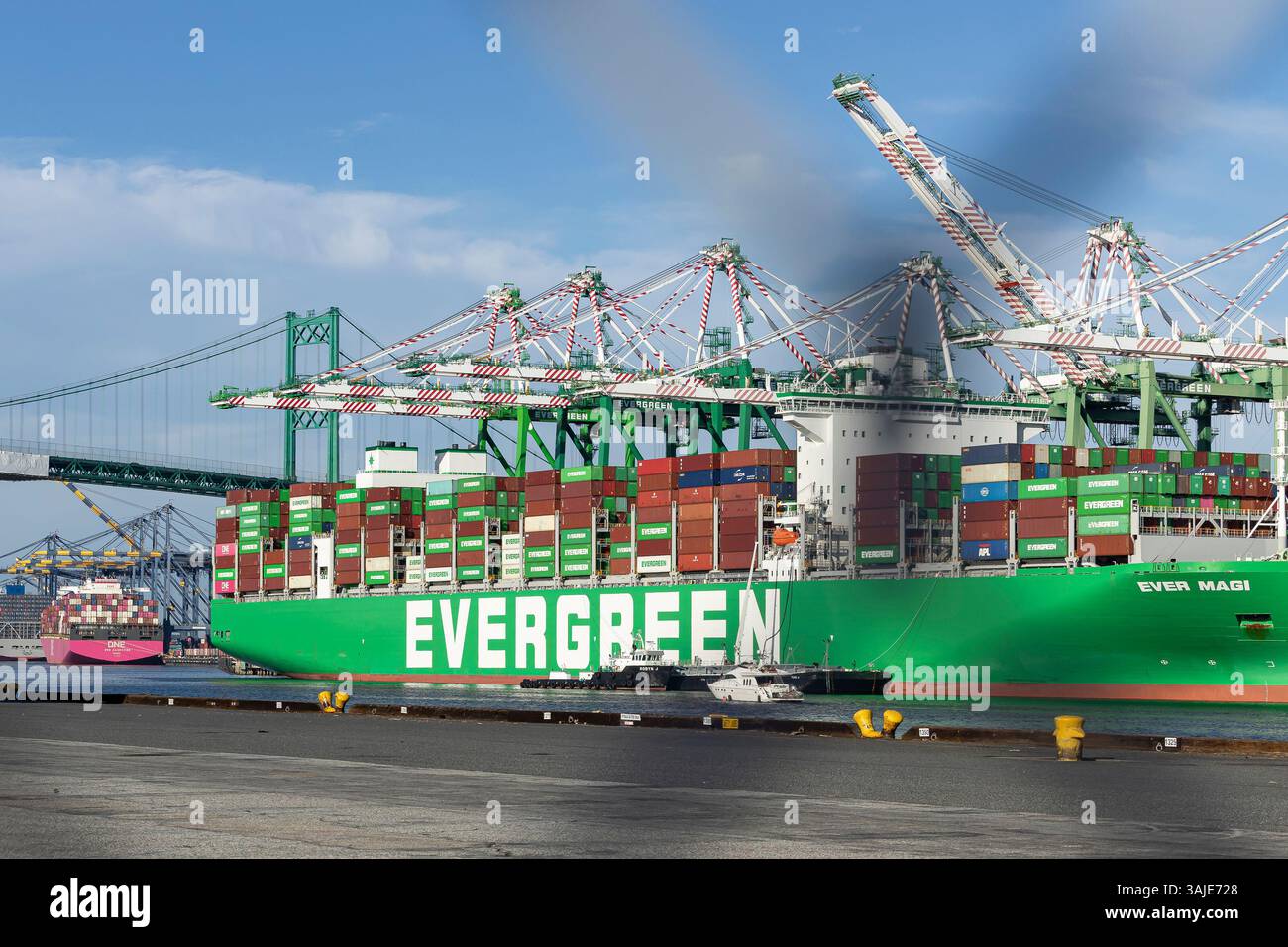 San Pedro, USA. 10th Apr, 2025. Shipping containers being loaded onto a ...