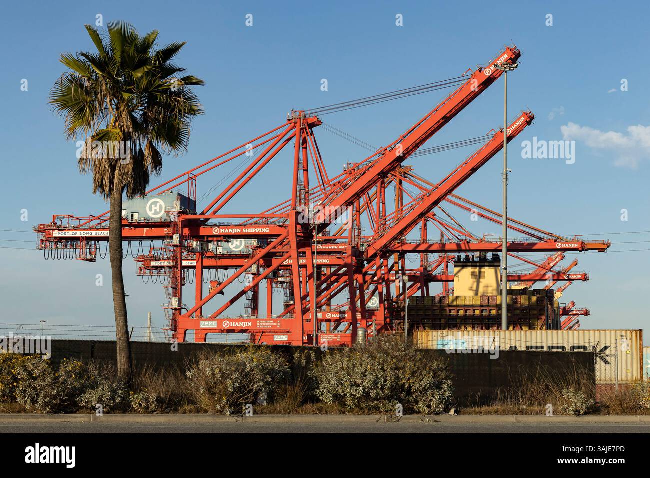 Long Beach, USA. 10th Apr, 2025. Ship-to-shore cranes (STS) at the Port ...