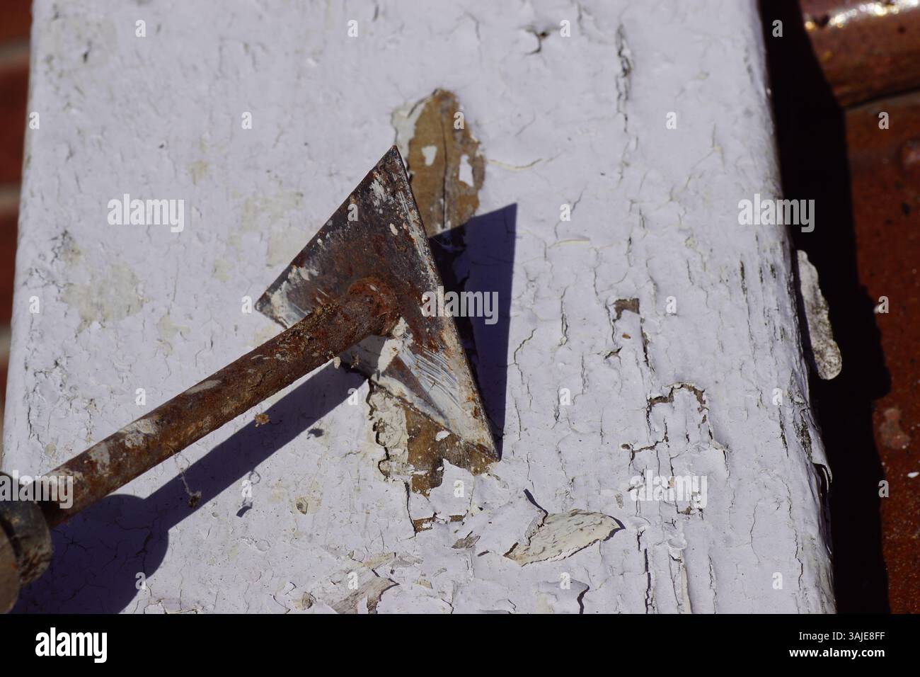 Remove chipped white paint from a plank on the tiles of the roof edge ...
