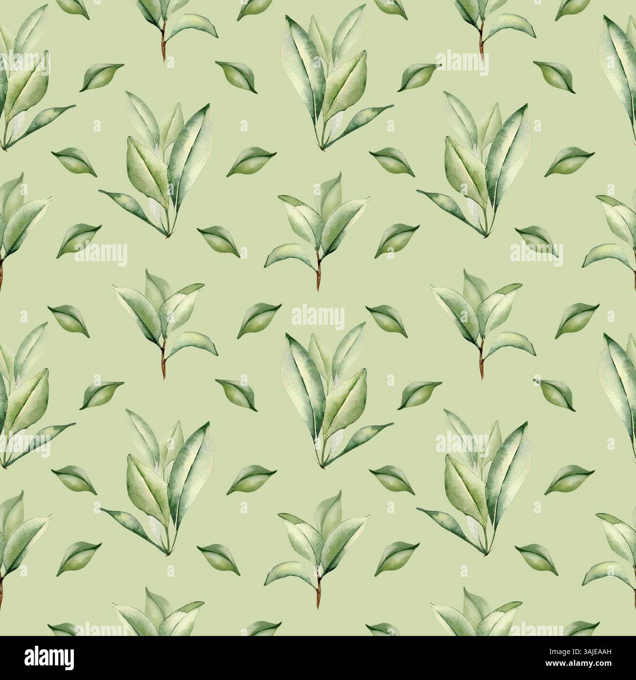 Branches of citrus tree with leaves watercolor seamless pattern isolated on white. Grapefruit ...