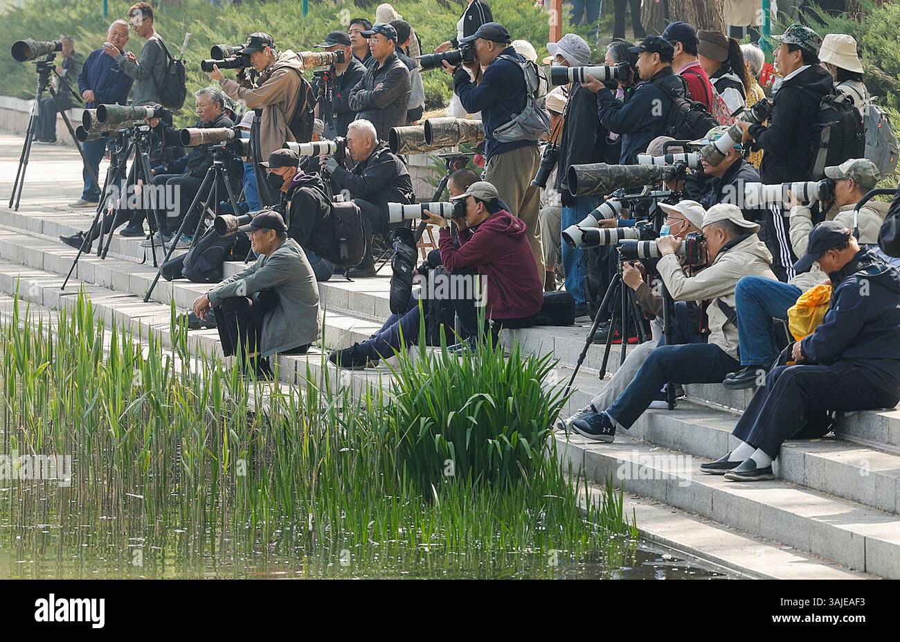 (250411) -- BEIJING, April 11, 2025 (Xinhua) -- Photography enthusiasts ...