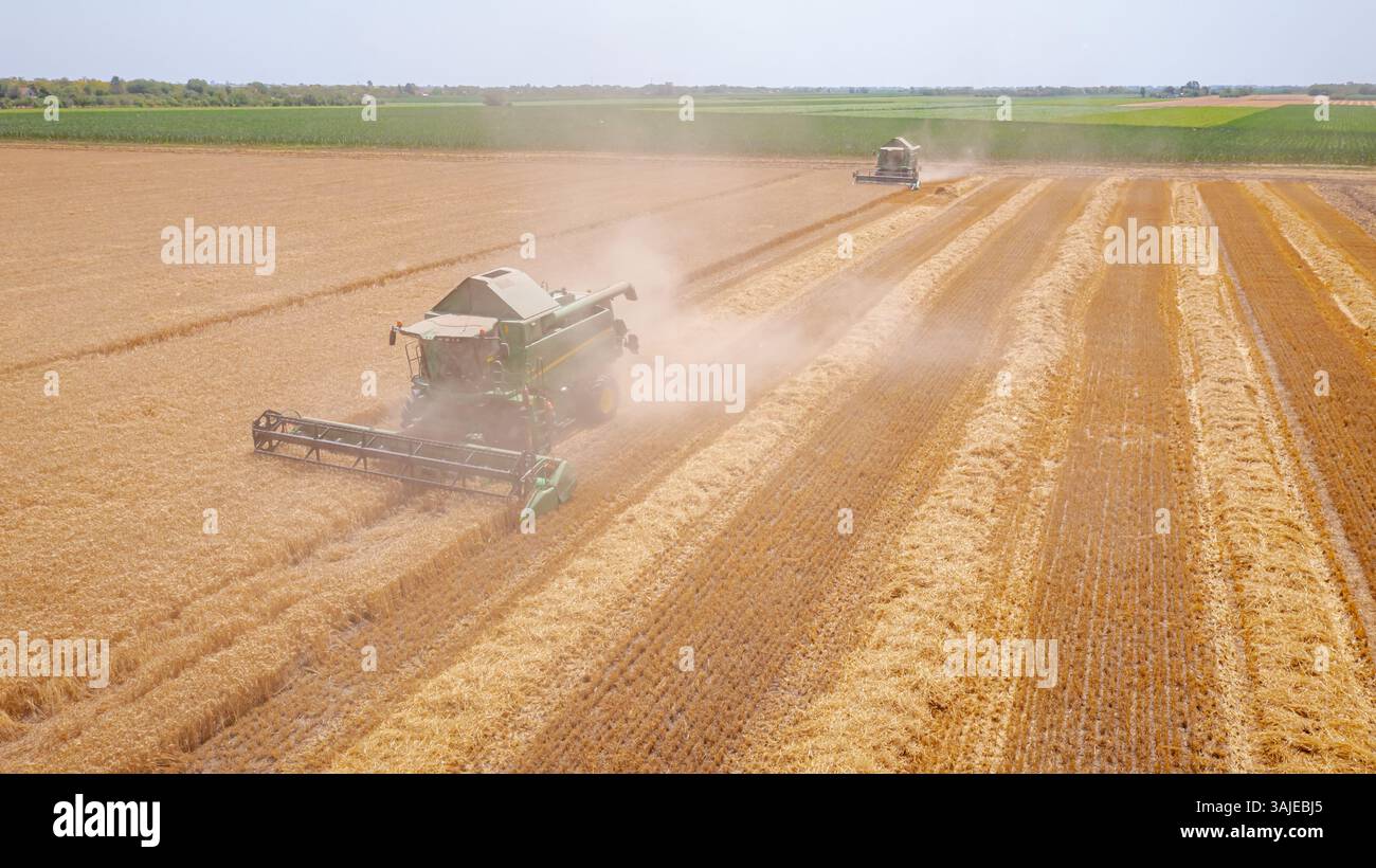 Above view over two agricultural harvesters, combines as they cutting ...