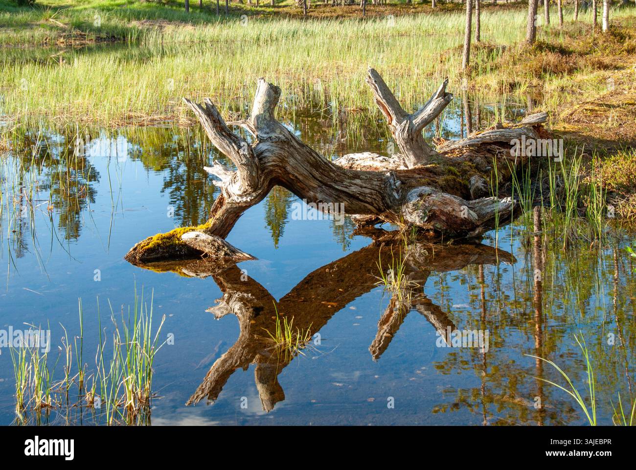 Lake Reflections at Saariselka, Finland Stock Photo - Alamy