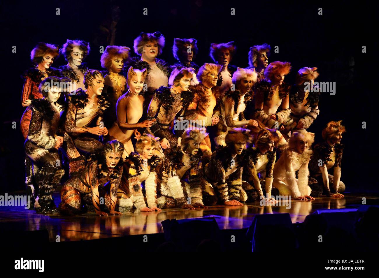 Ensemble bei der VIP-Premiere des Musicals Cats im Capitol Theater ...