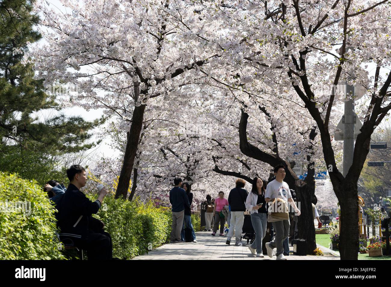 11 jun 2025 hi-res stock photography and images - Alamy