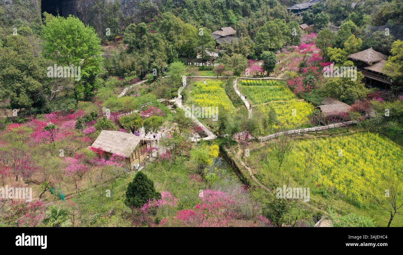 Aerial photo shows the spring scenery in Chongqing, China, 8 April ...