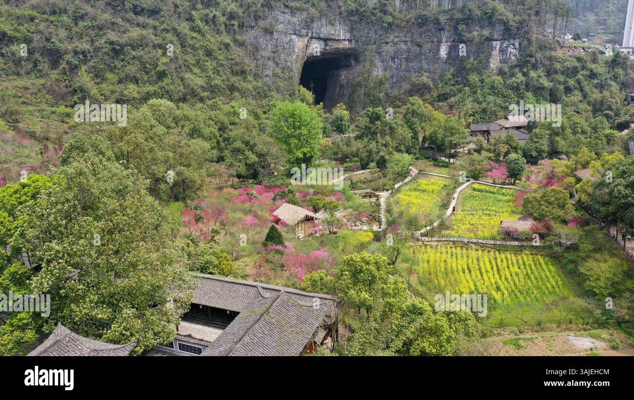 Aerial photo shows the spring scenery in Chongqing, China, 8 April ...