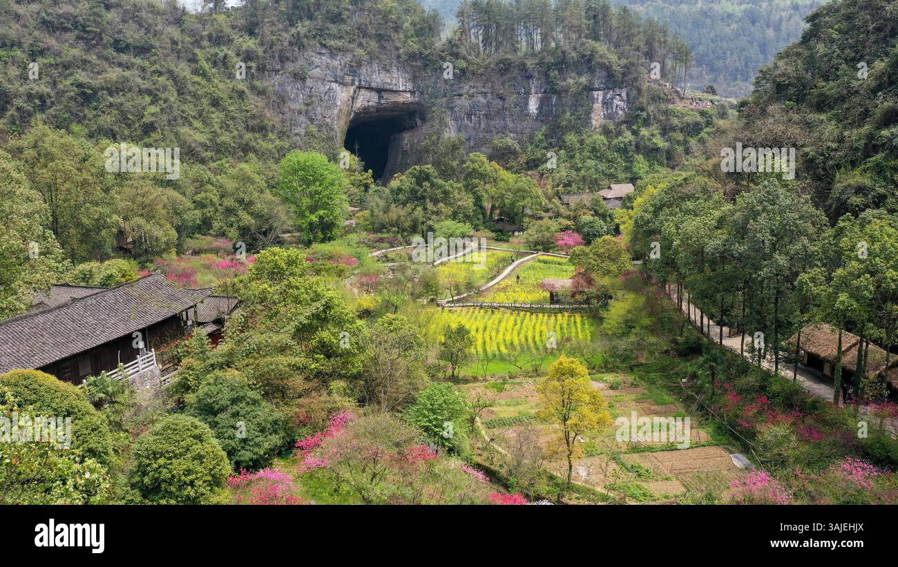 Aerial photo shows the spring scenery in Chongqing, China, 8 April ...