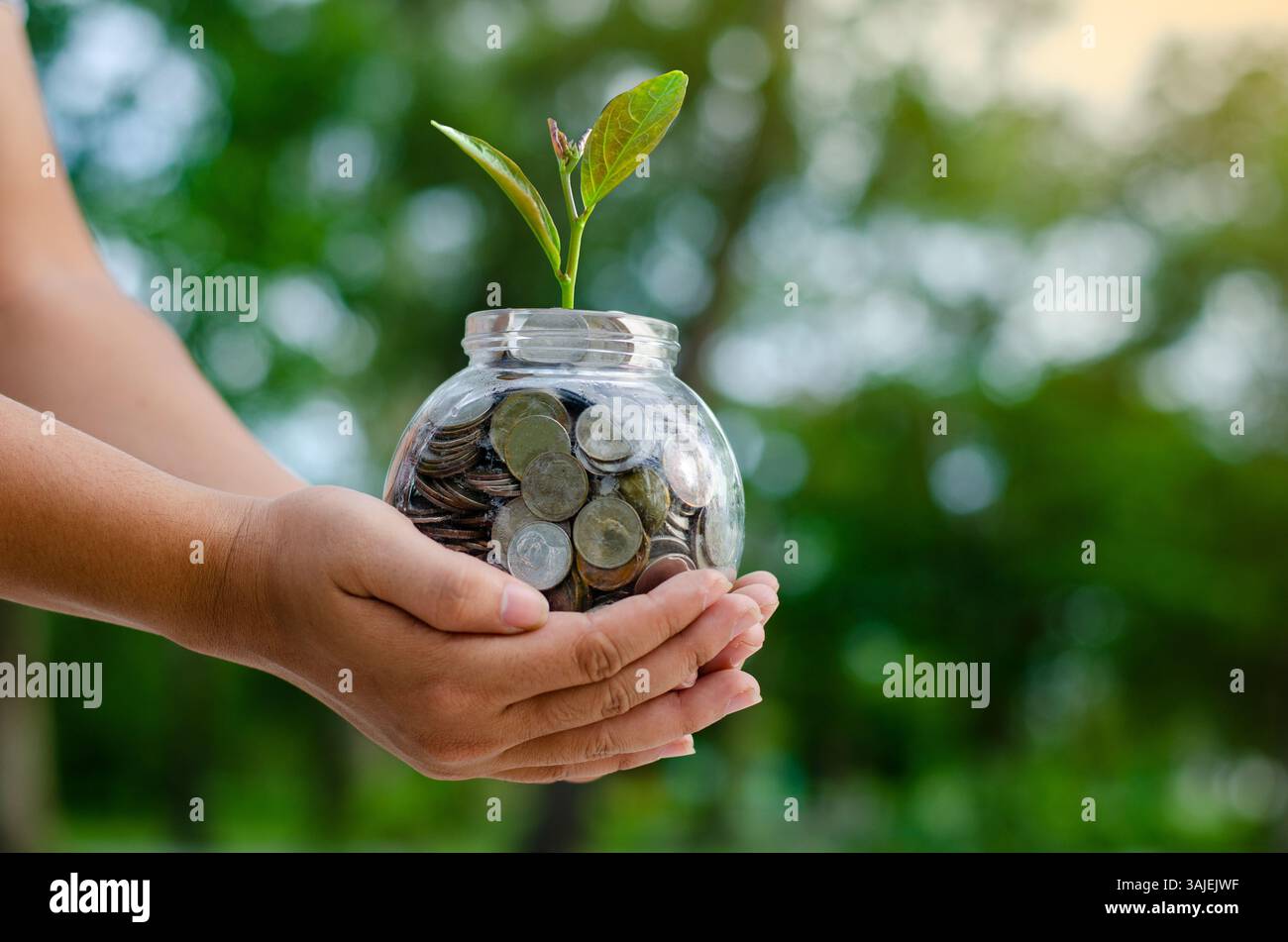 Coin tree Glass Jar Plant growing from coins outside the glass jar ...