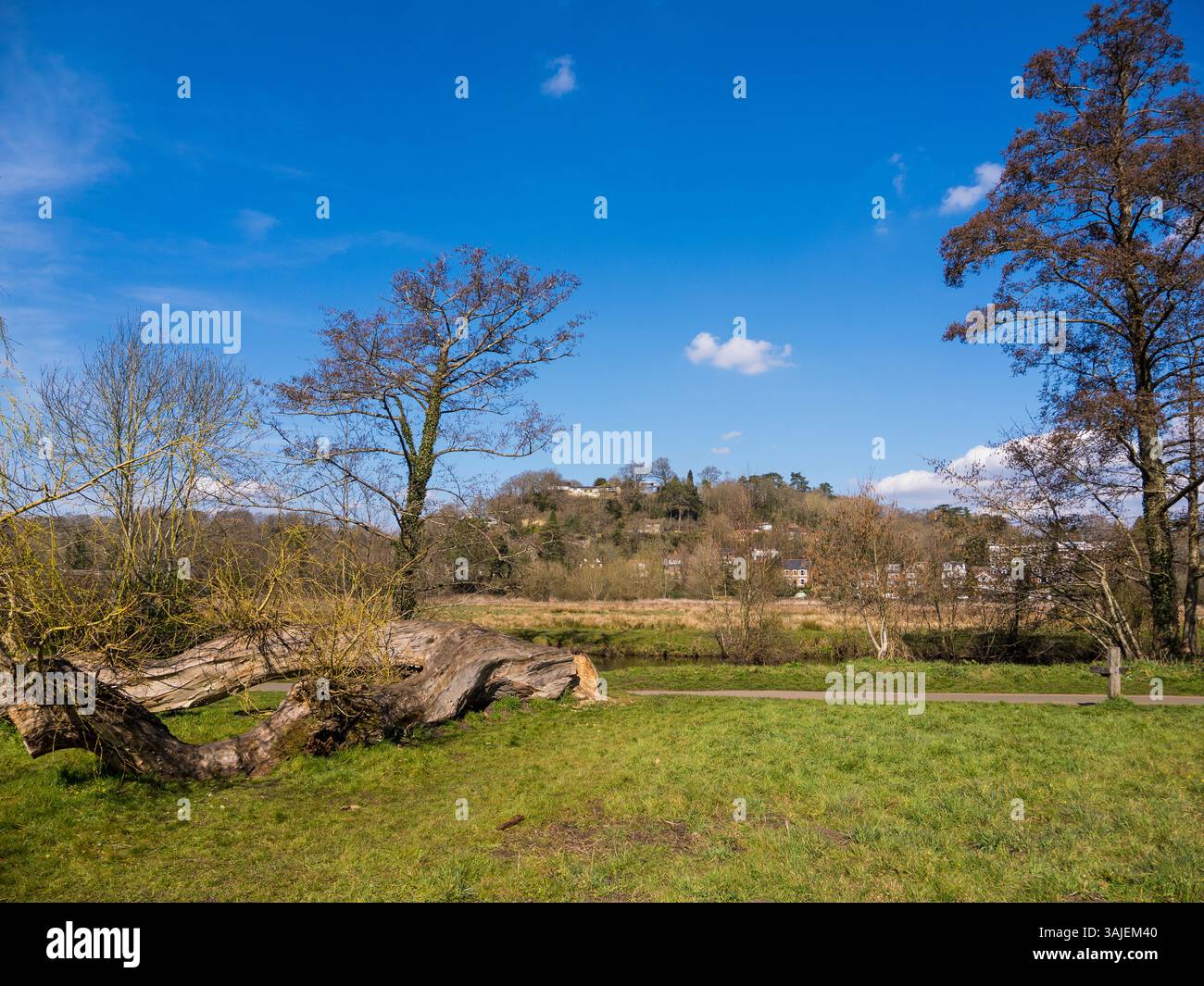 Floodplain Meadows, Lammas Lands, Nature Reserve, River Wey, Godalming ...