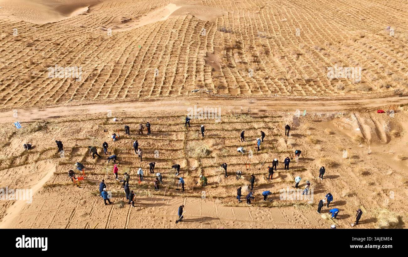 ZHANGYE, CHINA - APRIL 11, 2025 - Volunteers build a sand-blocking net ...