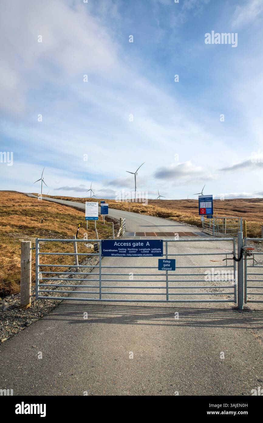 Viking Wind Farm consisting of 103 wind turbines constructed by SSE on ...