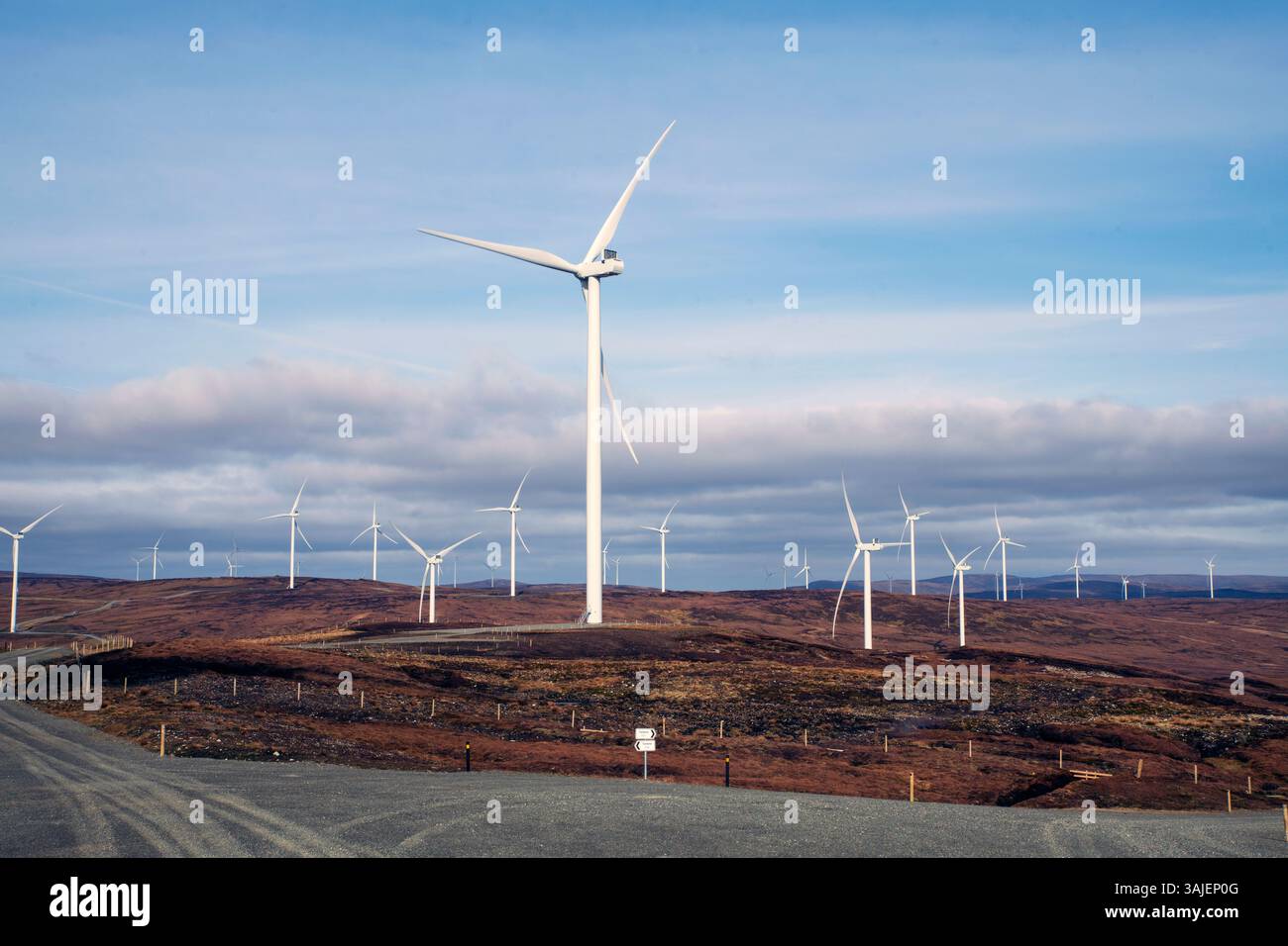 Viking Wind Farm consisting of 103 wind turbines constructed by SSE on ...