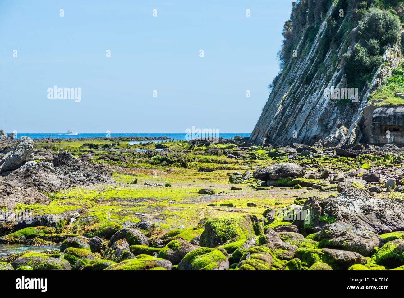 Punta del Carnero, Parque Natural del Estrecho, Algeciras, Andal Stock ...