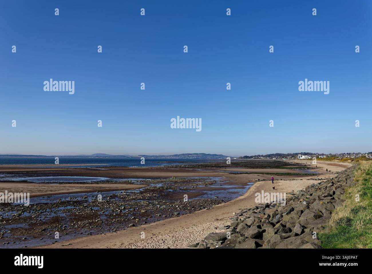 Broughty ferry beach dog hi-res stock photography and images - Alamy