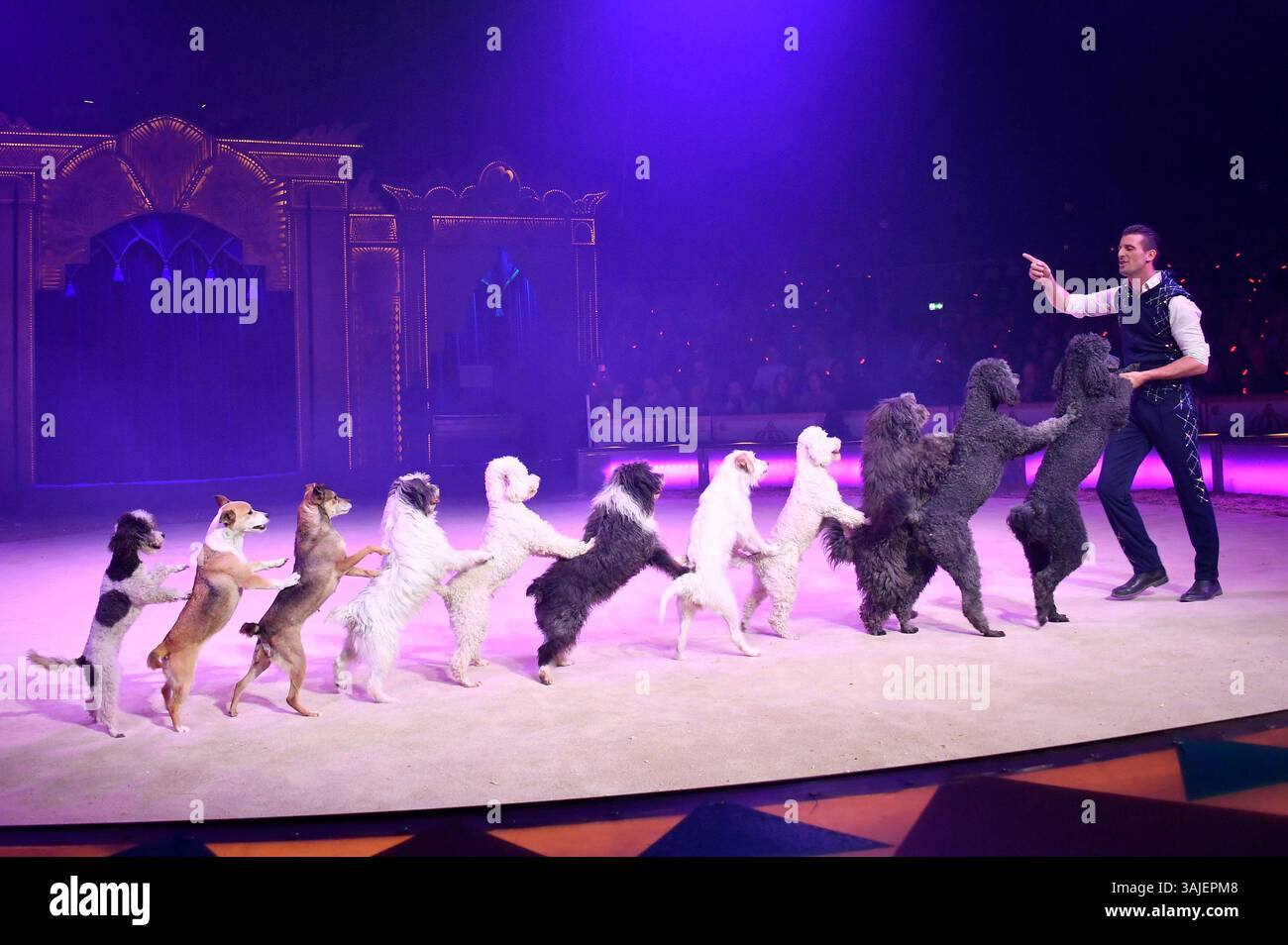 Thomas Lacey mit Hundedressur bei der Premiere des Circus Krone ...