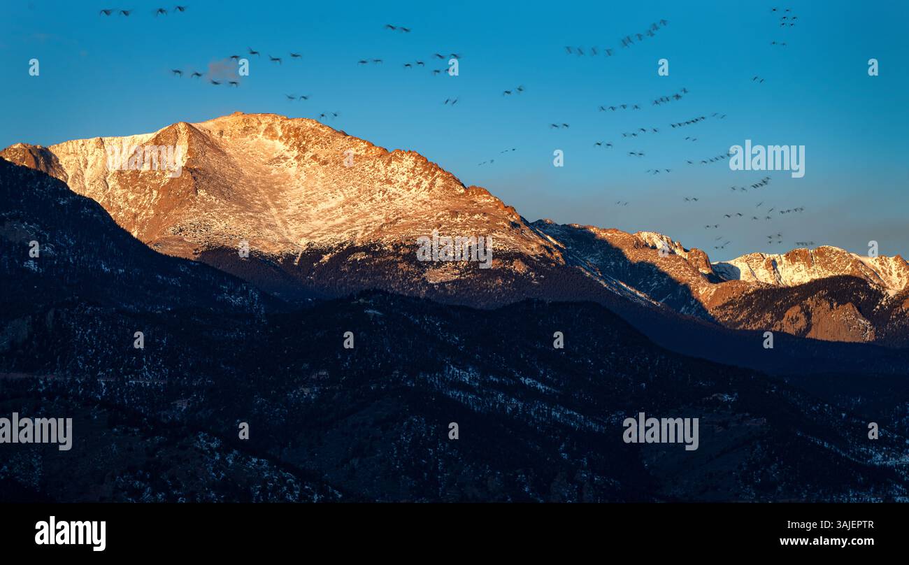 Migrating birds pass over Pikes Peak at sunrise in Colorado Springs ...