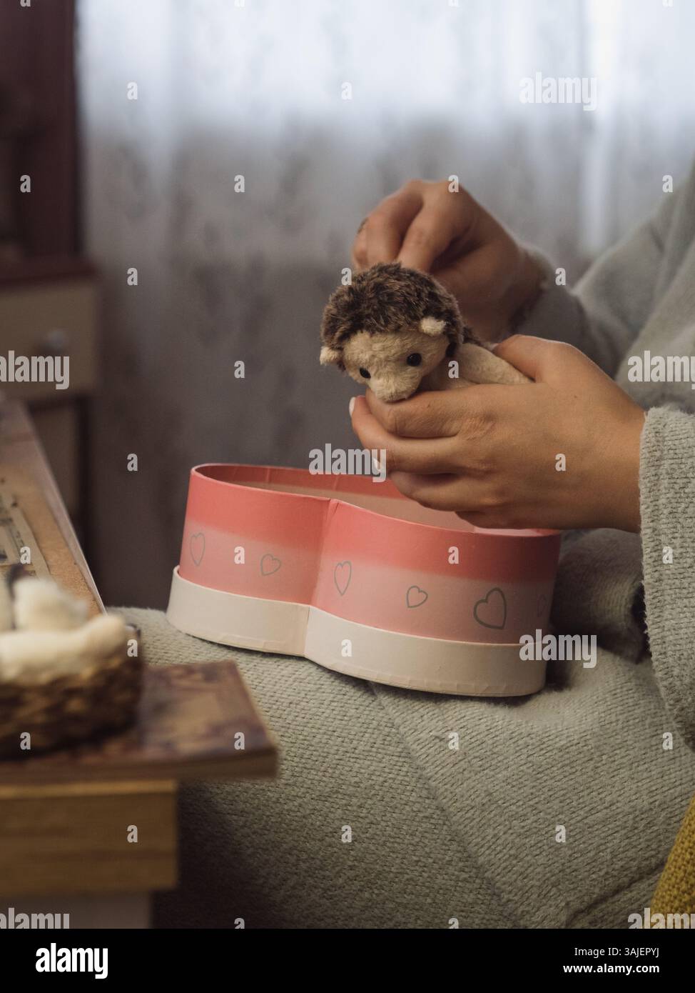 Hands Stuffing a Teddy Hedgehog with Sawdust Stock Photo - Alamy