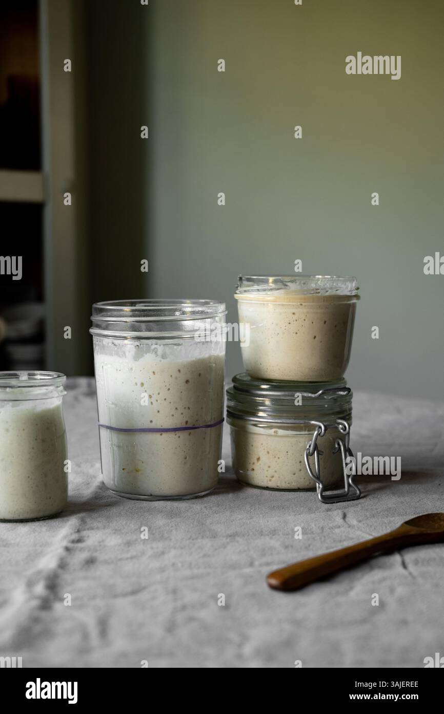 Sourdough starter in jars, home baking Stock Photo - Alamy