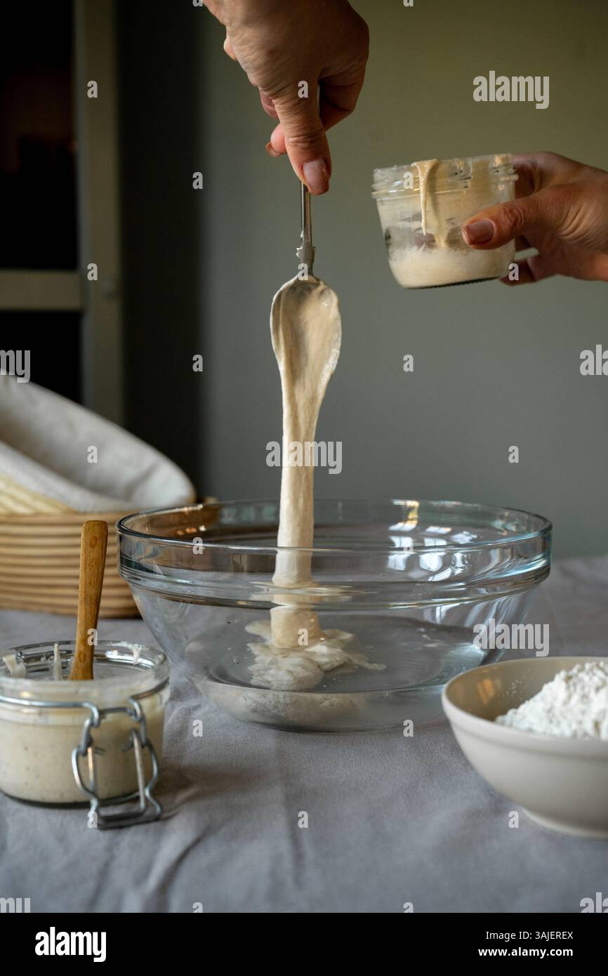 Adding sourdough starter to a bowl of water Stock Photo - Alamy