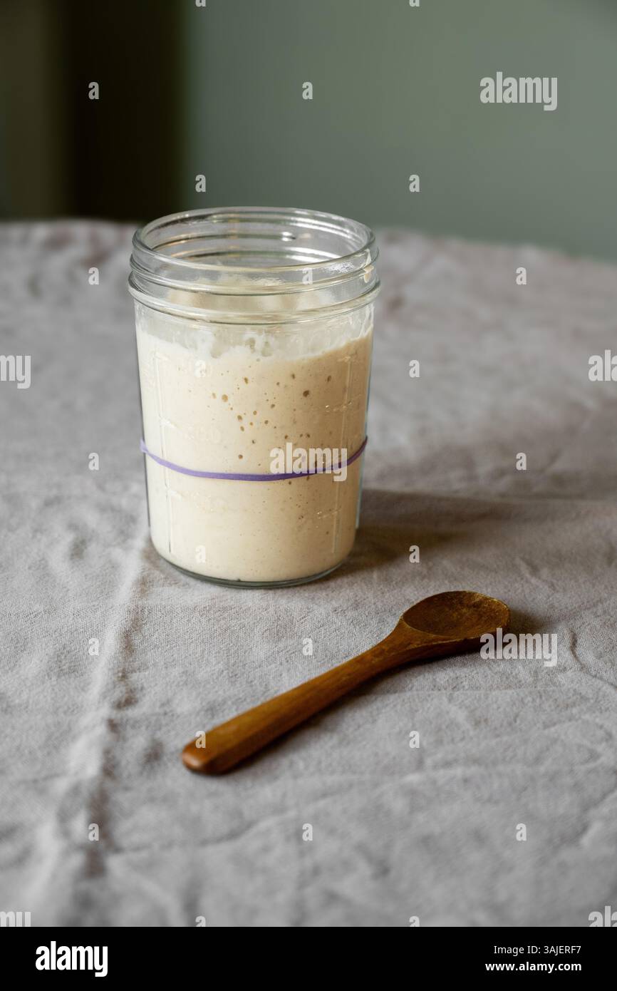 Sourdough starter in a jar Stock Photo - Alamy