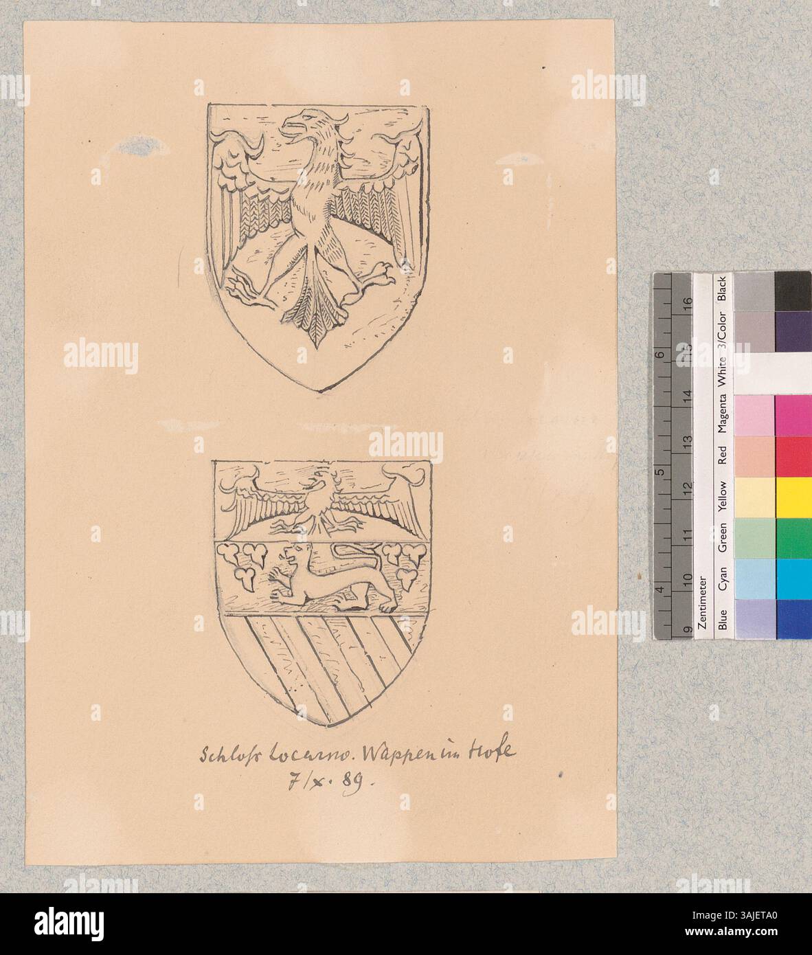 The depiction shows two coats of arms on stone capitals in the ...