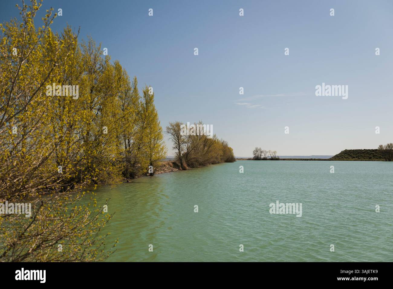 Lake green vegetation along shore hi-res stock photography and images ...